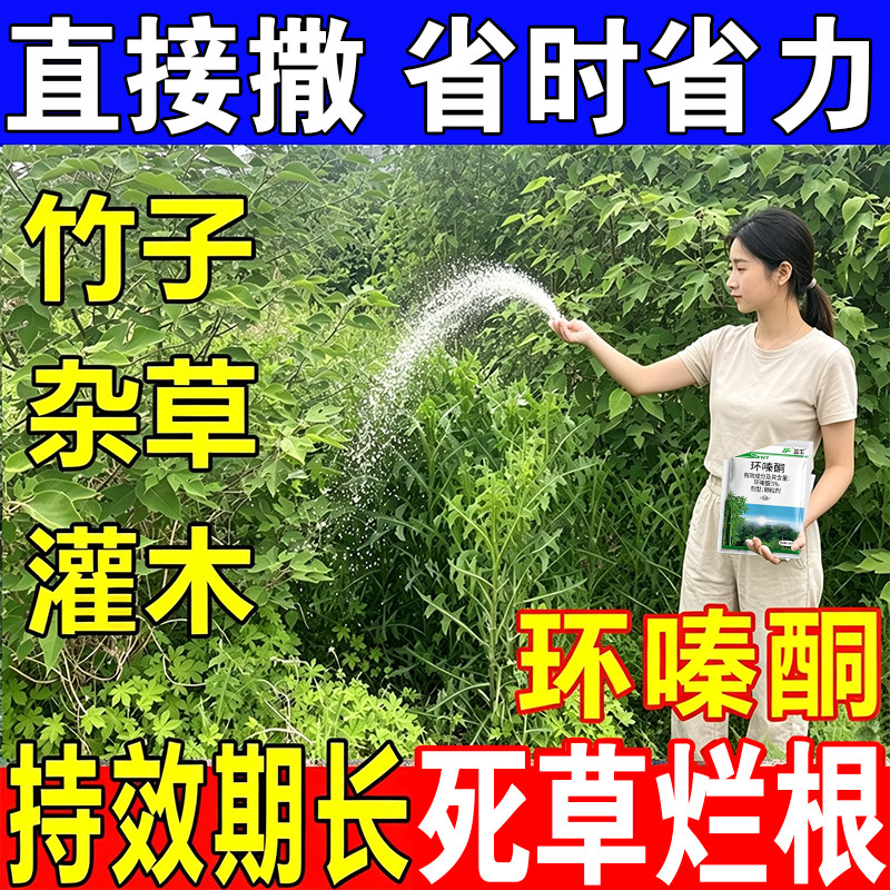 环嗪酮杀竹子烂根除草专用农药强力除根灭大杂竹灌木长效抑青正品