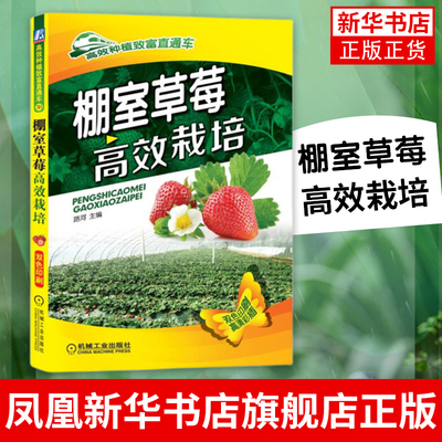 棚室草莓高效栽培 大棚草莓种植草莓栽培 草莓育苗技术栽培管理无土栽培 草莓常见病虫害防治技术 凤凰新华书店旗舰店正版