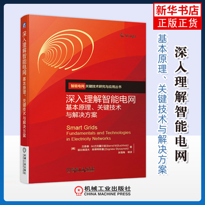深入理解智能电网：基本原理、关键技术与解决方案(德) 贝恩德·M. 巴克霍尔兹, 兹比格涅夫·斯蒂琴斯基著 张莲梅等译