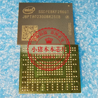 集成电路SSDPEBKF256G7BGA
