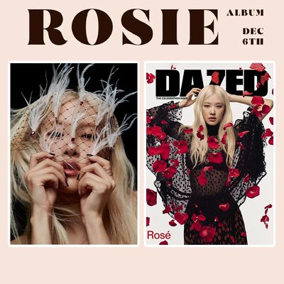 ROSE DAZED 2025 封面海报 不干胶壁纸墙贴 学生宿舍卧室贴画周边
