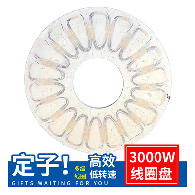 大功率无铁芯盘式电发电机定子