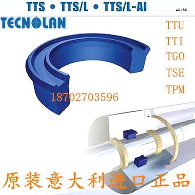 意大利TECNOTEXTSE354275/AE拉杆夹布油封SEG70*90*13.5