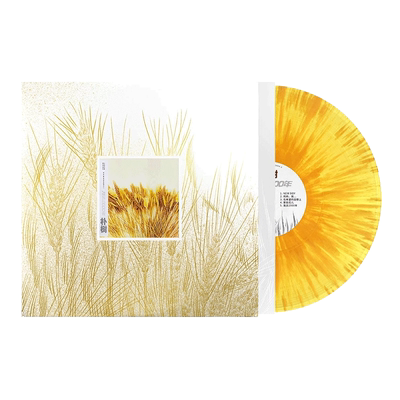 朴树实体专辑唱片周边