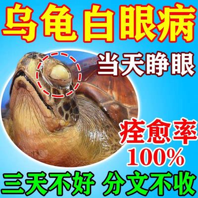 乌龟白眼病专用药草龟巴西龟眼睛睁不开红肿细菌感染特效药眼药水