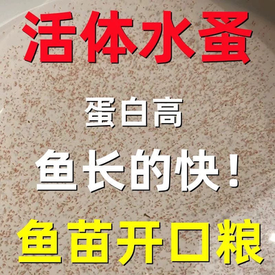 AiM活体水蚤活苗繁殖鱼食饲料红虫水瘙鱼食鱼苗幼苗开口活食