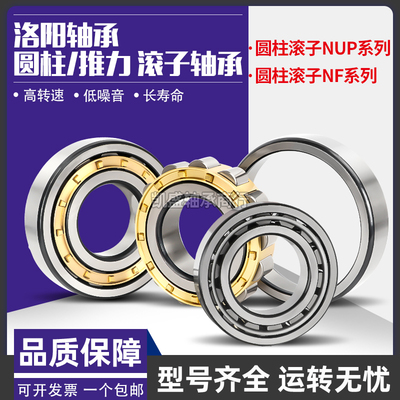 洛阳圆柱滚子轴承RN2203EM