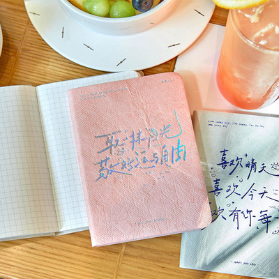 SG669拾光A6杜邦纸高颜值INS风