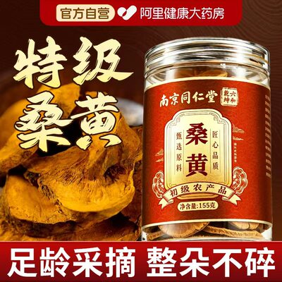桑黄官方旗舰店中药材桑树灵芝粉养生正品泡茶水桑黄的功效与作用