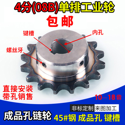 标准件4分链轮08b齿轮