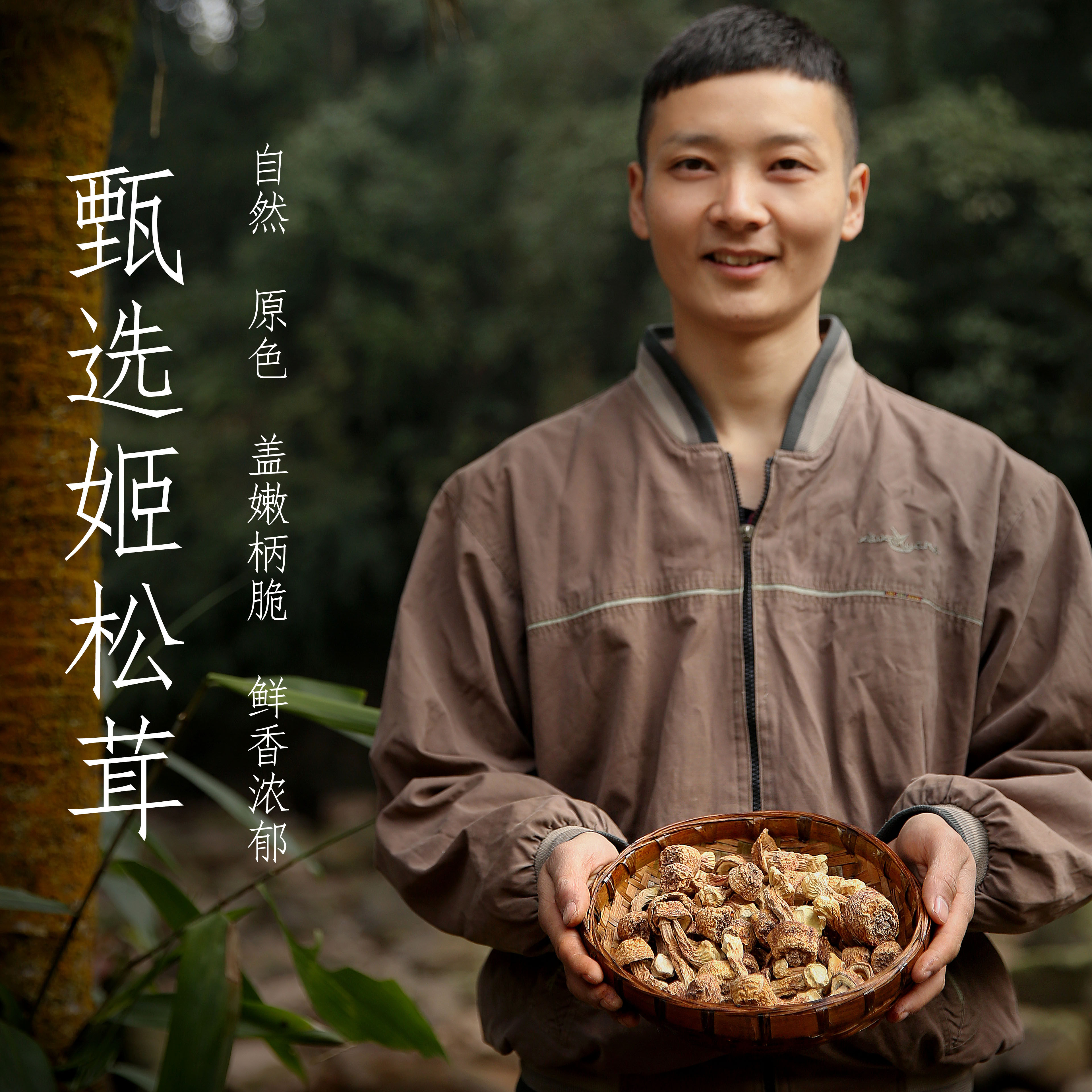 四川特产姬松茸干货食用野生菌蘑菇鸡松茸菇菌精选包邮姬松茸菇菌