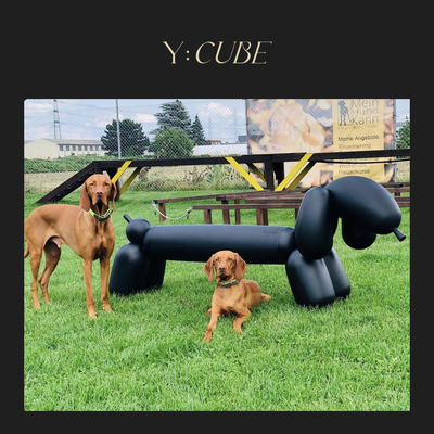 Y:CUBE荷兰进口Fatboy Attackle Bench庭院露台户外贵妇狗长条凳