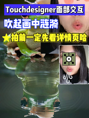 Touchdesigner源文件面部识别数媒艺术交互设计作品集粒子效果