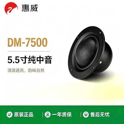 Hivi/惠威扬声器DM-7500中音