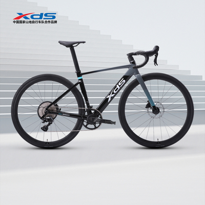 喜德盛AD350破风公路车