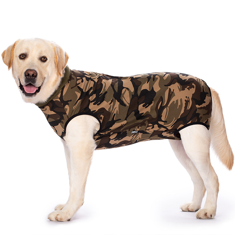 大狗狗衣服薄款夏天金毛中大型犬绝育术后防舔服宠物四脚无袖背心