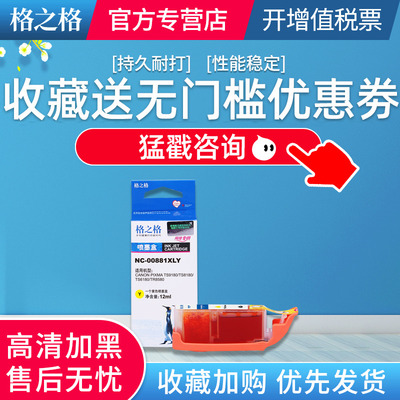 格之格适用佳能PGI880墨盒彩色