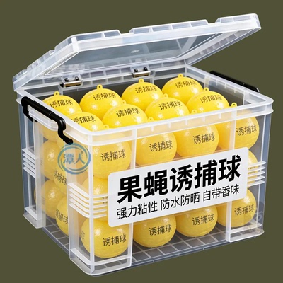 粘虫球丝瓜果实蝇贴诱蝇球针蜂马蜂色引诱剂果蝇诱捕器双面黄板纸