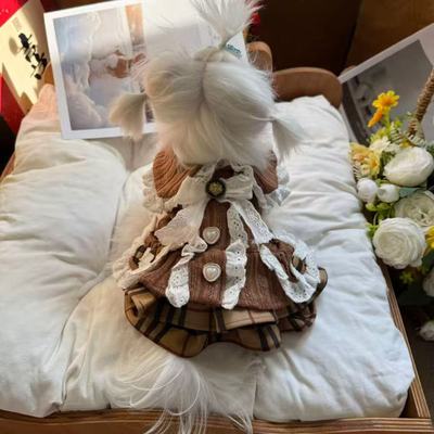 秋冬狗狗泰迪犬衣服小体熊博美保暖可爱宠物猫猫咪加绒加厚棉裙