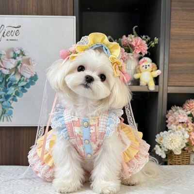 春夏洛丽塔公主裙狗狗猫咪衣服宠物服饰洋气小型犬可爱公主裙衣服