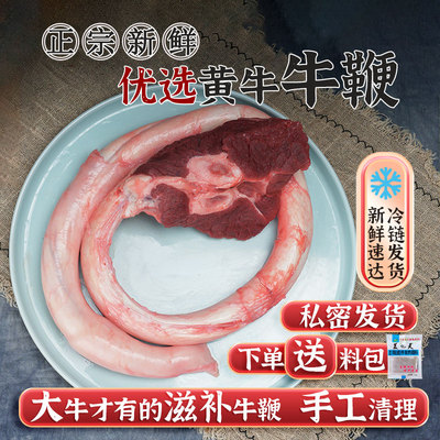 现宰新鲜牛鞭正宗农家散养黄牛鞭