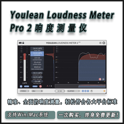 Youlean Loudness Meter Pro 2 专业响度测量仪音频插件