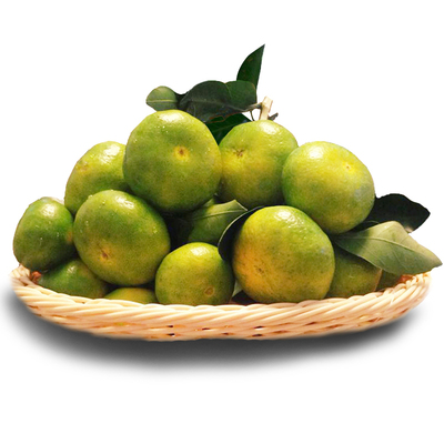 特早熟临海涌泉蜜桔现摘且很甜