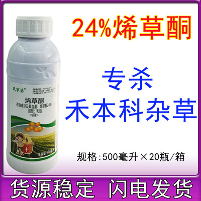 24%烯草酮花生大豆油菜苗后专用除草剂禾本科杂草除草剂尖叶杂草