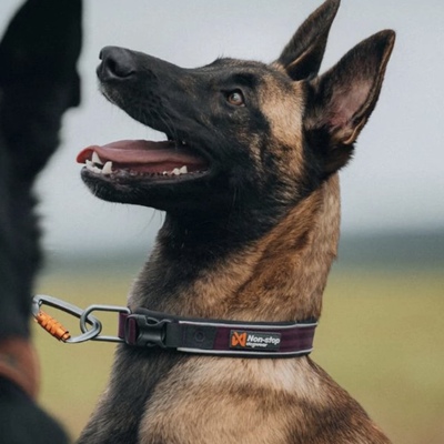 挪威Nonstop漫步Roam项圈户外运动日常遛狗项圈结实耐用宠物项圈