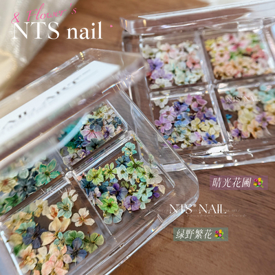 NTS.nail甄选「春日整朵干花」蓝绿色粉黄紫色美甲莫奈油画色干花