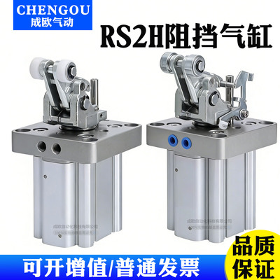 重载阻挡止动气缸RSH/RS2H/32/50/63/80-15/30DL/DM/BL/BM/TL/TM