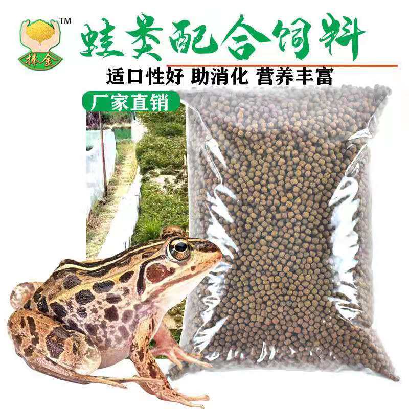 青蛙蝌蚪饲料小蝌蚪饲料黑斑蛙饲料