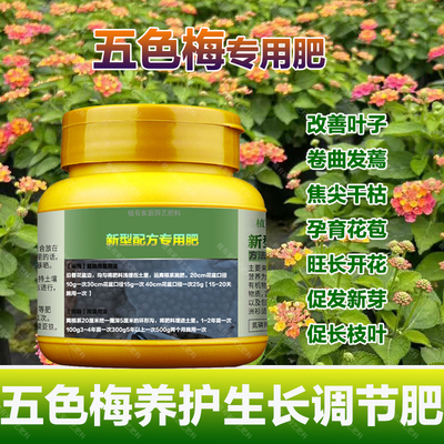 五色梅专用肥料马缨丹花土壤营养液叶子打蔫发焦枯萎卷曲叶面肥料