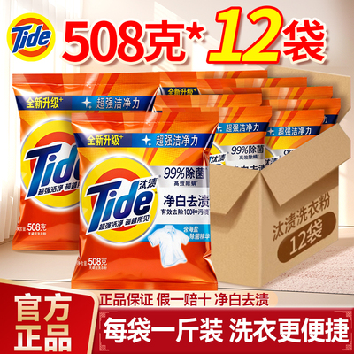 【整箱批发】汰渍洗衣粉508g小袋