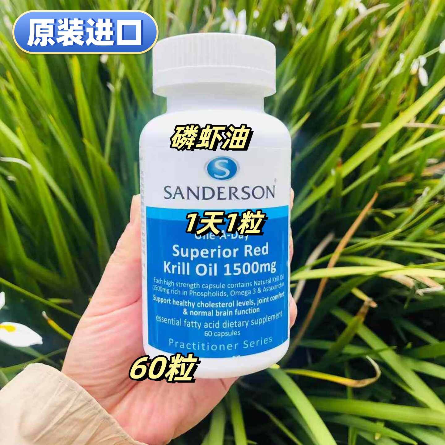原装进口SANDERSON虾青素磷虾油深海含量胶囊60粒新西兰代购正品