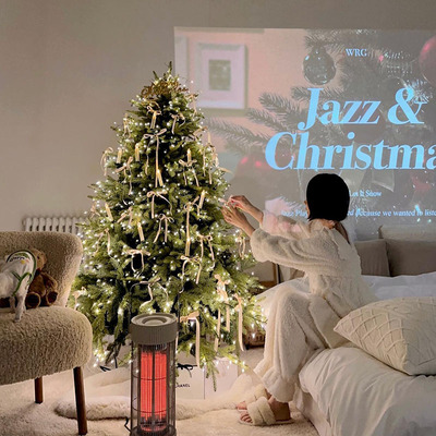 Hromeo 韩国同款ins风高级感圣诞树芭蕾舞风圣诞树装饰小红书同款