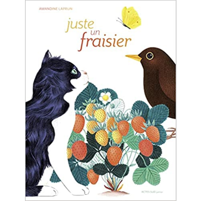 法文原版儿童绘本图书