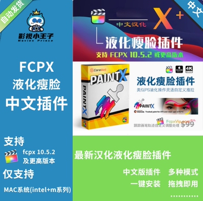 中文FCPX瘦脸插件PaintX液化磨皮祛痘大眼拉长腿 Final Cut Pro