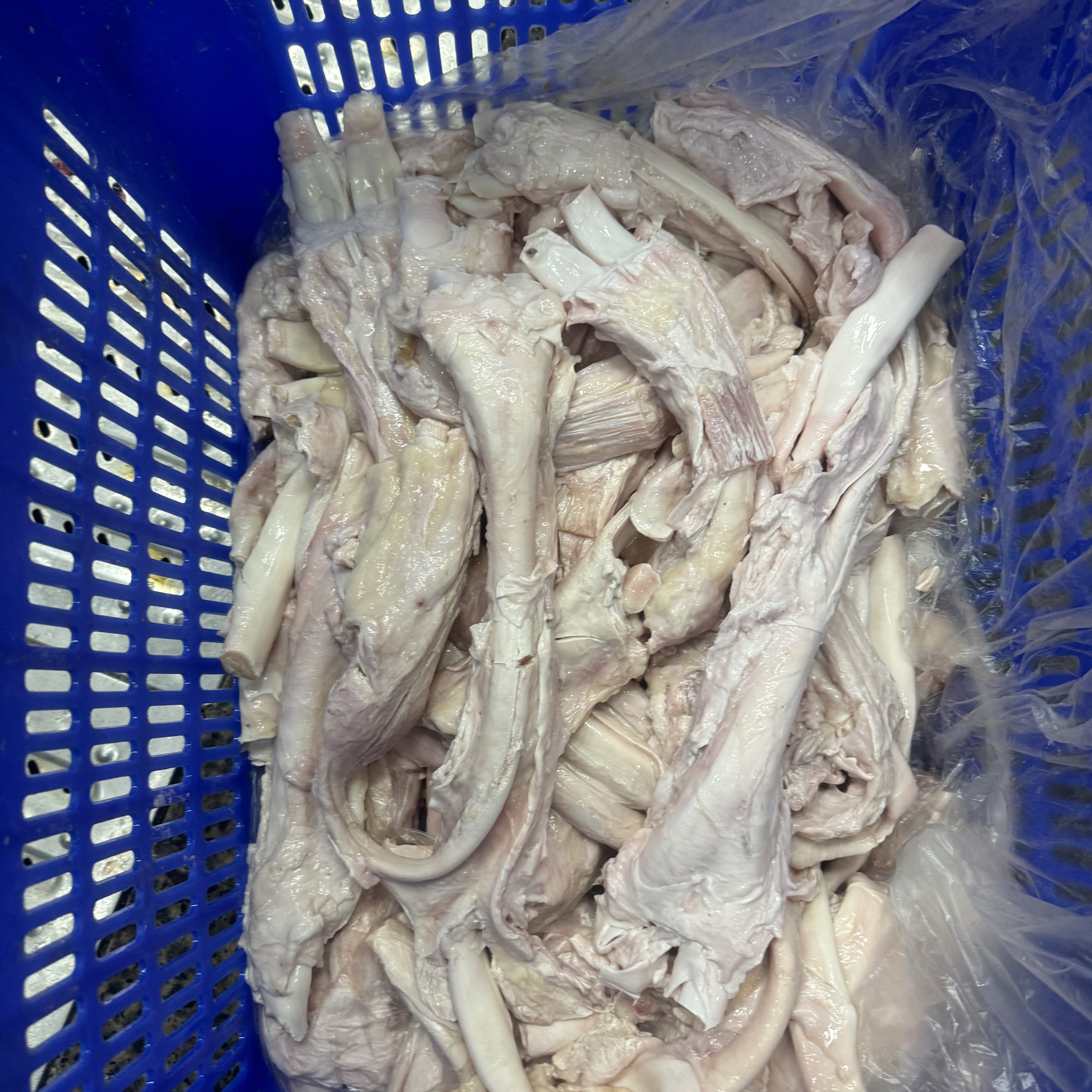 牛脚筋主筋10斤新鲜速冻发贷商用牛杂制品