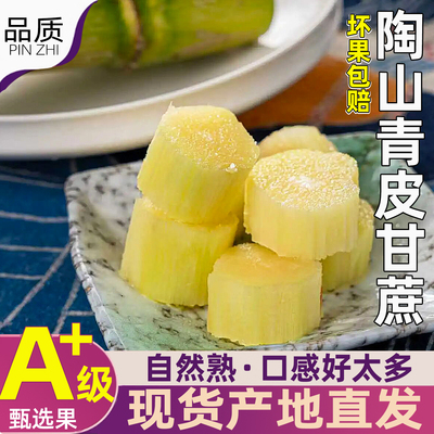 陶山青皮甘蔗温州特产3斤顺丰