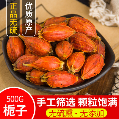 正品栀子500g散装山栀子花茶泡茶红栀子果黄栀子另售菊苣金银花茶