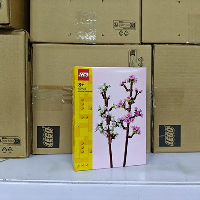 LEGO/乐高拼插积木6岁以上