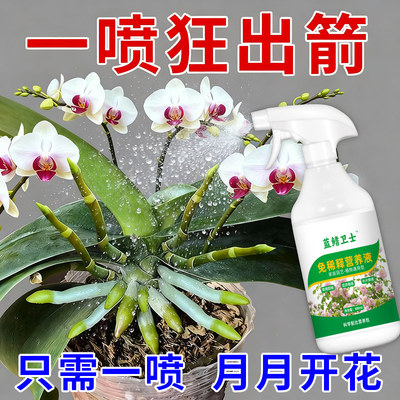 蝴蝶兰爆箭王植物营养液