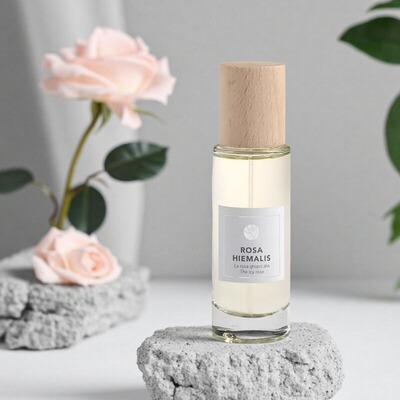 RosaeVirtus香水小样秋日玫瑰