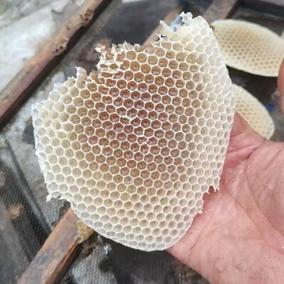 天然蜂巢胚蜂蜡坠脾蜂巢少蜜唇膏DIY蜜蜂 违章建筑蜂房蜡皮糖原料