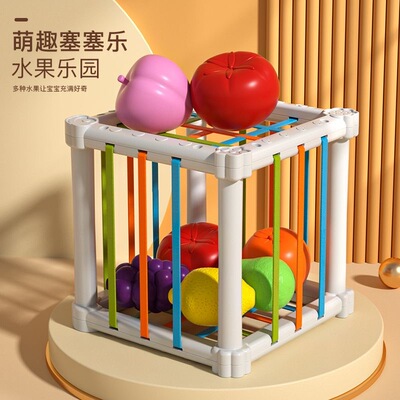 Fruit Rainbow Cessele Toy Shape Color Cognitive Hand Movemen