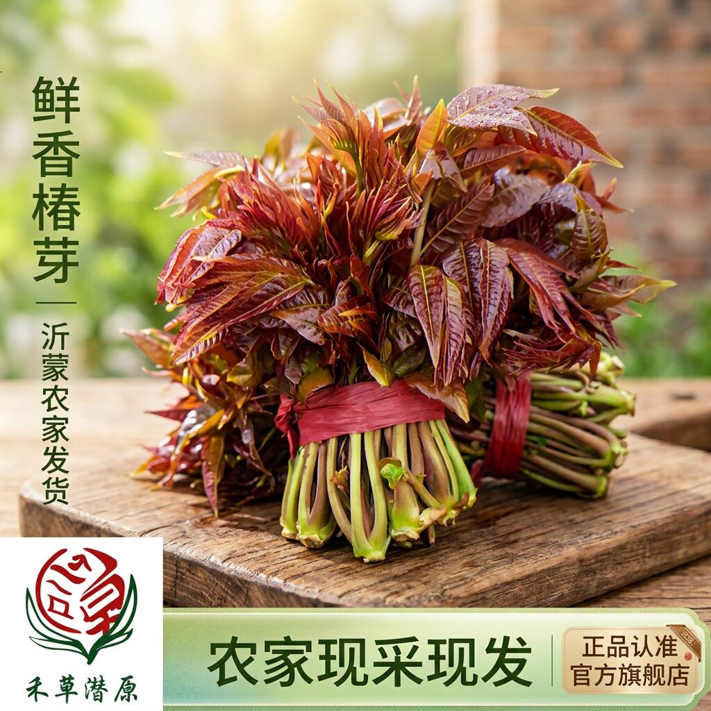 现货山东沂蒙山露天头茬红香椿嫩头香椿芽新鲜野生蔬菜农家批代发
