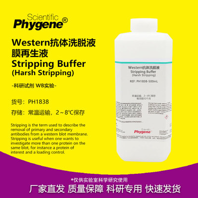 WB一抗二抗洗脱液Phygene