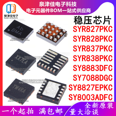 SYR全系列芯片泉津佳全新