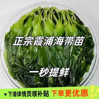 海带苗嫩干 霞浦新鲜一级海带嫩苗嫩芽 火锅天然海菜芽海鲜干货